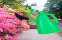 China Plastic PP Watering Can with Sprinkler Head 1 Gallon 32.5cm Long Spout Garden Sprayer for sale