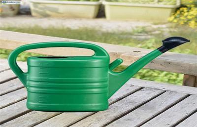 China 6L Plastic Watering Can Sprayer for Garden Lawn Patio Flower Plant Irrigation for sale