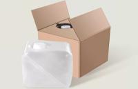 China LDPE Collapsible Jerry Can 5L 10L 1.25 Gallons Cubitainer for Drinking Water for sale