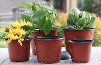 China Nursery Plastic Horticultural Plant Pots 15cm Thermal Formed for Flower Seedling Durable for sale