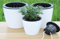 China PP Resin Round Flower Pots 6-12 Inch Thickened Wear Resistant Not Brittle for Indoor Plants for sale