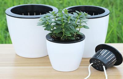 China PP Resin Round Flower Pots 6-12 Inch Thickened Wear Resistant Not Brittle for Indoor Plants for sale