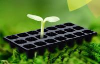 China Black Plastic Seedling Propagation Tray 21 Cells Recycle Custom Size for sale