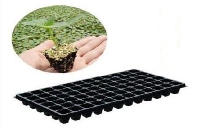 China 200 Cell Seed Trays Rectangle Nursery Trays for Tomato Grow Plant Seedling for sale