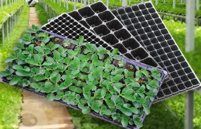 China 200 Cells Plug Seed Starting Plastic Germination Trays For Plant Propagation for sale