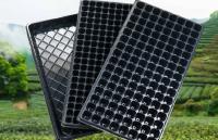 China Black Rectangular Plastic Germination Trays 200 Cells 54x28cm PS Nursery Seedling Tray for sale