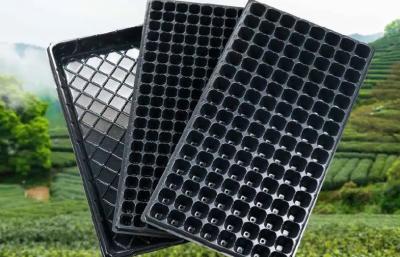 China Black Rectangular Plastic Germination Trays 200 Cells 54x28cm PS Nursery Seedling Tray for sale
