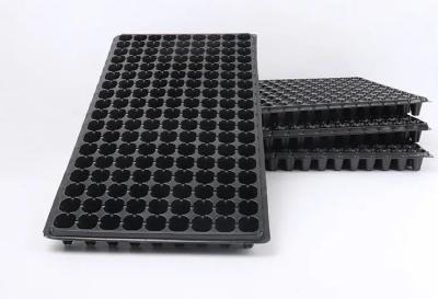 China Vacuum Formed 128 Cell Plant Germination Tray 540x280mm PS Seed Starter for Nursery for sale