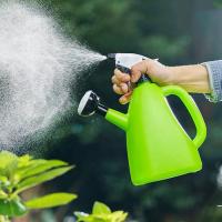 China 1L Plastic Sprinkler Bottle 2 in 1 Watering Can with Sprayer Head for House Plants for sale