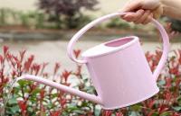 China 1.3L Plastic Watering Can for Plants Garden Vegetable Field Family Watering Pot for sale