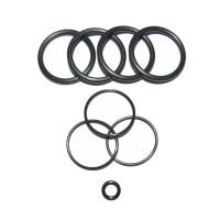 China High Temperature Rubber O Rings FKM FVMQ Silicone AFLAS 250C for Industrial Sealing for sale