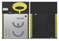 China nRF52833& DW3120 UWB Module Qorvo UWB Module for RTLS Location Tracking Warehousing Logistics Smart Cities for sale