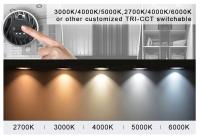 China Tri-CCT Adjustable MR16 Module 12W COB LED 3000K/4000K/5000K 2700K/4000K/6000K for sale