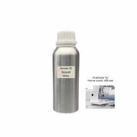 China Seasalt Aroma Oil for Home Air Freshener Essential Oil 100ml IFRA Certified for sale