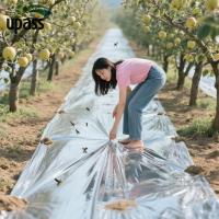 China Strength PET Laminated Reflective Aluminum Foil Roll Agriculture Film Plastic Mulch Ground Covering Fruit Trees Cherries Blow for sale