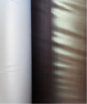 China Customizable HDPE Film Torchable SBS Waterproofing Membrane Perforable Hole Distribution Cutting Service Blow Molding for sale