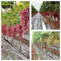 China Silver Aluminum Foil PE Agricultural Film Roll Reflective Mylar Garden Fruit Tree Cherries Ground Covering Plastic Product for sale