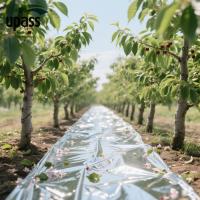 China Highly Reflective Agricultural PET Mylar Film Plastic Metallised Blow Molding for Laminating Foam Material for Mulching for sale
