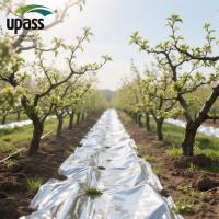 China Solar Reflective PET Coated Aluminum Foil Mylar Mulch Film Agriculture Plastic for Solar Energy Projects for Blow Molding for sale