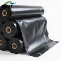 China High Quality Modern Design HDPE Outdoor Pond Tilapia Fish Tanks High Grade Plastic Liner with Geomembrane Molding for sale