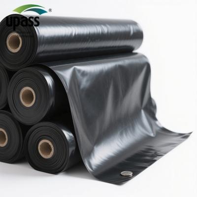 China High Quality Modern Design HDPE Outdoor Pond Tilapia Fish Tanks High Grade Plastic Liner with Geomembrane Molding for sale