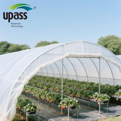 China Ready to Ship UV Resistant PE Film Greenhouse Plastic Agriculture Polyhouse Greenhouse for Farm Use for sale