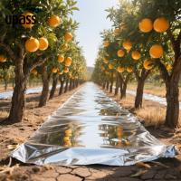 China Strength Aluminum Foil Composite Ground Cover Film Reflective Agricultural Blow Molding Increasing Red Fruit Rate Fruit Trees for sale