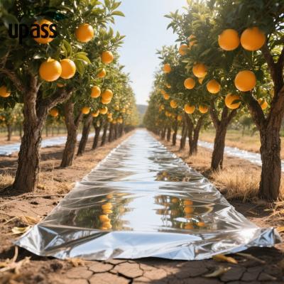 China Strength Aluminum Foil Composite Ground Cover Film Reflective Agricultural Blow Molding Increasing Red Fruit Rate Fruit Trees for sale