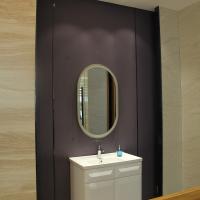 China Stainless Steel Oval Framed Wall Mirror with LED Light Luxury Golden Color W60xH100cm for sale