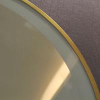 China Stainless Steel Oval Framed Wall Mirror with LED Light Luxury Golden Color W60xH100cm for sale