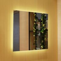 China Touch Control Custom Bathroom Mirrors Salons Custom Makeup Mirror With Lights for sale