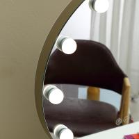 China Silver Finishing Makeup Mirror With LED Light Luxury Gold Customizable for sale