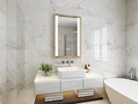 China Oval Shape Modern Bathroom LED Mirror with Bluetooth Music Speaker and Smart Light for sale
