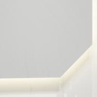 China LED Wall Light for Bathroom Vanity Mirrors with Waterproof Housing and Custom Sizing for Hospitality and Design Projects for sale