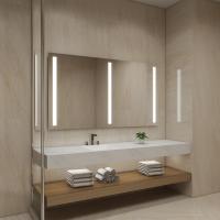 China Custom LED Mirror Light Fixture for Bathroom Vanity with Wall Mounted Installation Anti Fog Function and Sleek Minimalist Design for sale