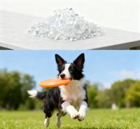 China Durable Chewable Odor-Free for Indoor Interaction/Outdoor Fetch Dog Toys TPE Granule for sale
