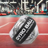 China Best Selling Auto-Start Gyro Wrist Trainer Ball Strengthener for Arm Workout TikTok Power Wrists PC+Zinc Alloy Platinum Black for sale