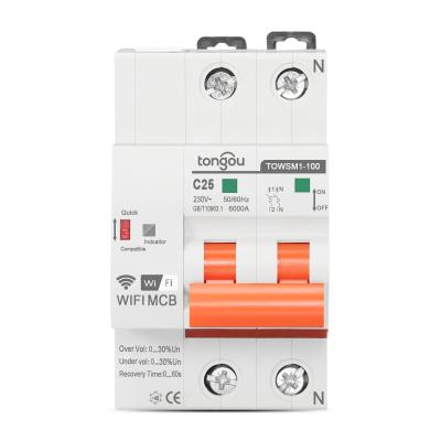 China Tuya App Control Smart WiFi MCB 2-Pole 63A Copper Circuit Breaker for Industrial & Electronic Equipment and Household Use for sale