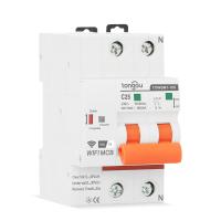 China Tuya App Control Smart WiFi MCB 2-Pole 63A Copper Circuit Breaker for Industrial & Electronic Equipment and Household Use for sale