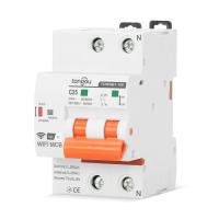 China Tuya App Control Smart WiFi MCB 2-Pole 63A Copper Circuit Breaker for Industrial & Electronic Equipment and Household Use for sale