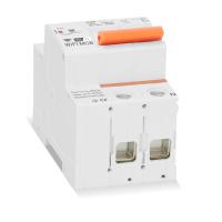China Tuya App Control Smart WiFi MCB 2-Pole 63A Copper Circuit Breaker for Industrial & Electronic Equipment and Household Use for sale