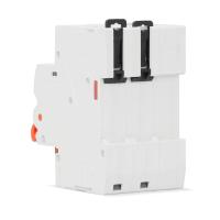 China Tuya App Control Smart WiFi MCB 2-Pole 63A Copper Circuit Breaker for Industrial & Electronic Equipment and Household Use for sale