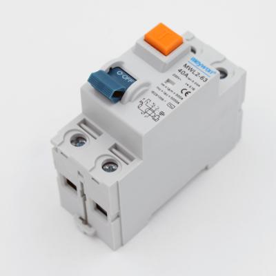 China 2 Pole Type B RCCB MCB Circuit Breaker Without Overcurrent protection 25A 40A 63A Made of Copper for sale