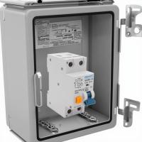 China Type 2P 25A Residual Current Circuit Breaker (MCB) Electronic RCBO Capacities 10mA 30mA 100mA 300mA 32A 40A Copper Material 6KA for sale