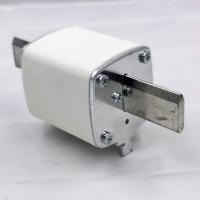 China High Breaking Capacity 500V 120KA gG 160A HRC Ceramic Blade Fuse Block for Thermal Usage with NT2 NH2 Hrc Fuse Link for sale