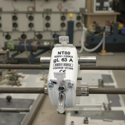 China High Breaking Capacity 500V 120KA gG 63A HRC Ceramic NH or NT Type Blade Fuse Block Thermal Usage with NT00 NH00 Hrc Fuse Link for sale