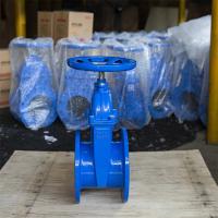 China DN50 Resilient Seat Gate Valve  Ductile Iron Flanged PN16 Double Epoxy Coating for sale