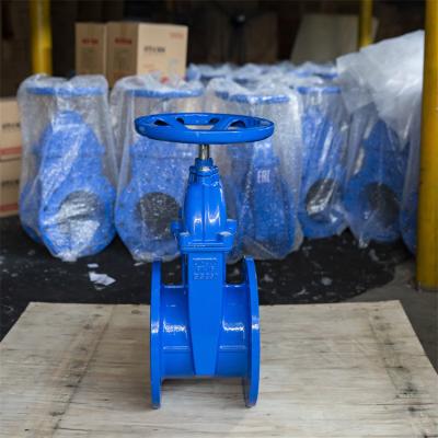 China DN50 Resilient Seat Gate Valve  Ductile Iron Flanged PN16 Double Epoxy Coating for sale