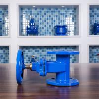 China QT450 Resilient Seat Gate Valve Ggg50 Z45X German Standard Soft Seal for sale