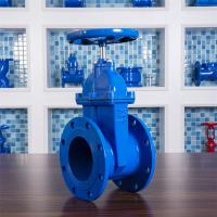 China Flange Ends Elastic Seat Gate Valve PN16 DN600 Cast Iron Gate Valve DN150 for sale